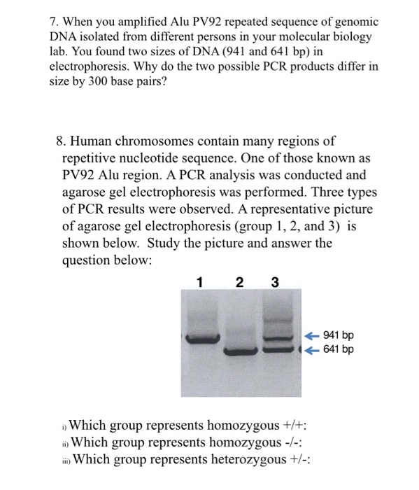 Solved When you amplified Alu PV92 repeated sequence of | Chegg.com