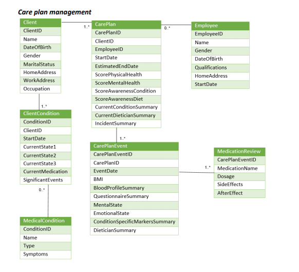 The Case Vigour is a fictitious healthcare provider | Chegg.com