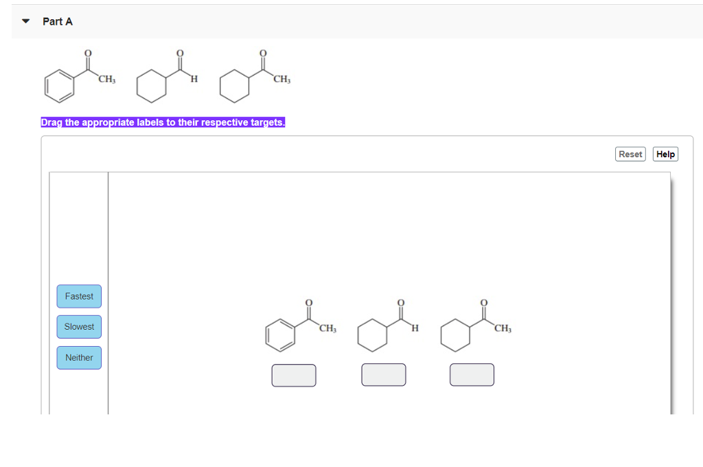Part A CH3 CH3 rag the appropriate labels to their | Chegg.com