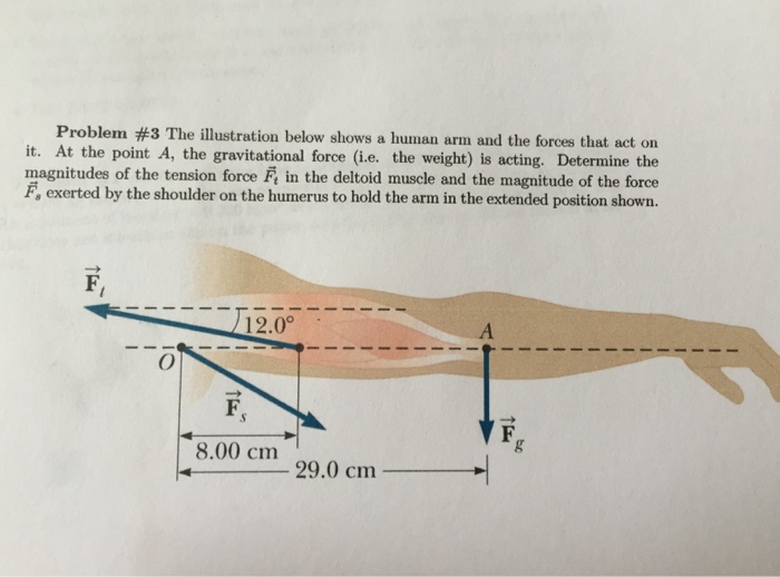 Solved The illustration below shows a human arm and the | Chegg.com