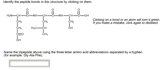 Solved Identify the peptide bonds in this structure by | Chegg.com