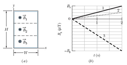 Solved Figure (a) shows a wire that forms a rectangle (W = | Chegg.com