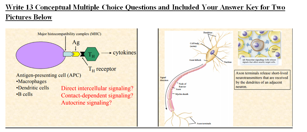 Note: Write 13 Conceptual Multiple Choice Questions | Chegg.com