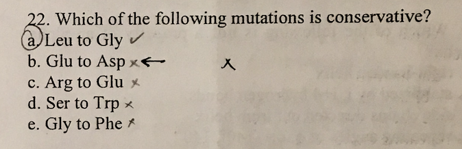 Solved 22. Which of the following mutations is conservative? | Chegg.com