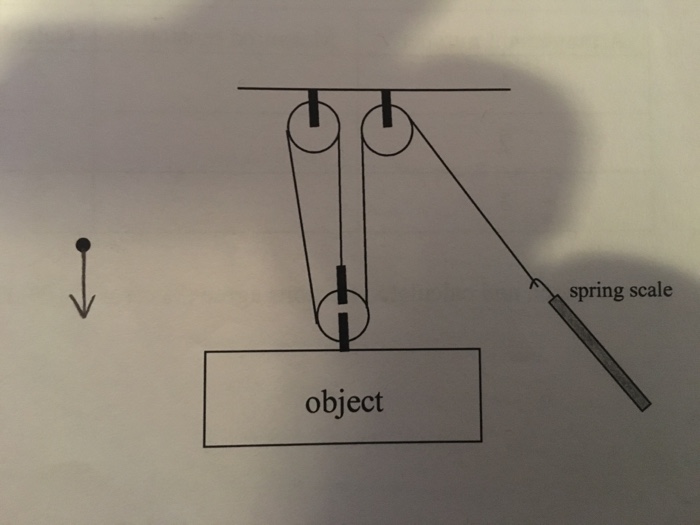 Solved Draw a free body diagram for this pulley system | Chegg.com