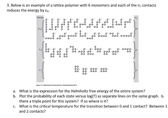Below is an example of a lattice polymer with 6 | Chegg.com