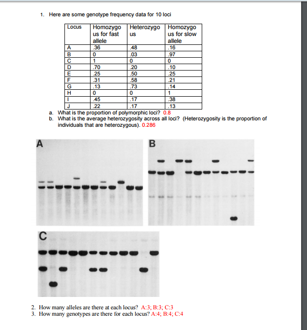 Solved What is the propotion of polymorphic loci? Could you | Chegg.com