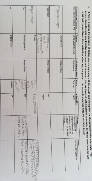 Solved Metabolism question | Chegg.com