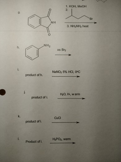 Solved 1. KOH, MeOH 2. 9. Br NH 3. NH2NH2 heat h. xs Br2 | Chegg.com