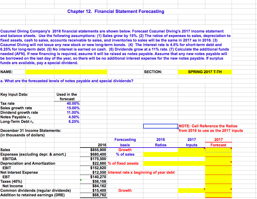 Solved Chapter 12. Financial Statement Forecasting Cozumel | Chegg.com