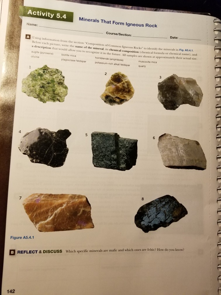 Solved Activity 5.4 Minerals That Form Igneous Rock Name: | Chegg.com