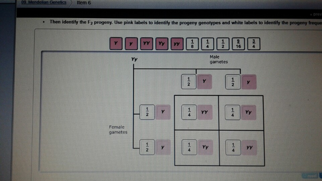 Solved Below Is A Partially Complete Create Table Stateme