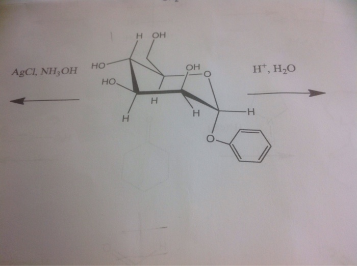 Solved H OH AgCI, NH,OH HO OH HO | Chegg.com