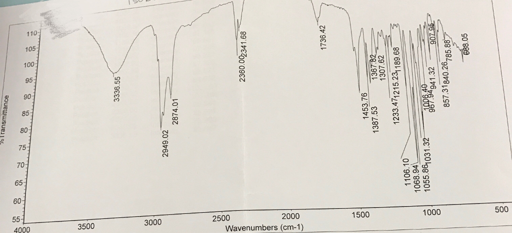 Solved Oxidation-Reduction Scheme: Borneol, Camphor, | Chegg.com