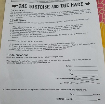 Solved THE TORTOISE AND THE HARE THE SCENARIO The Tortoine | Chegg.com