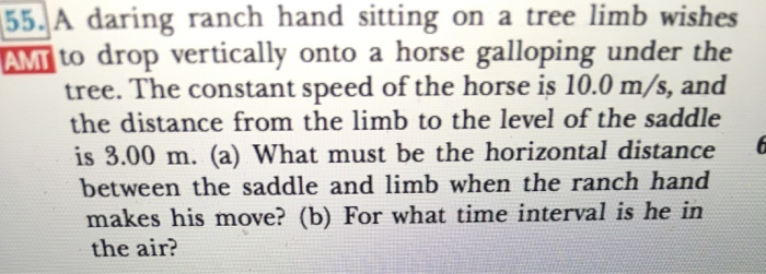 Solved A daring ranch hand sitting on a tree limb wishes to | Chegg.com
