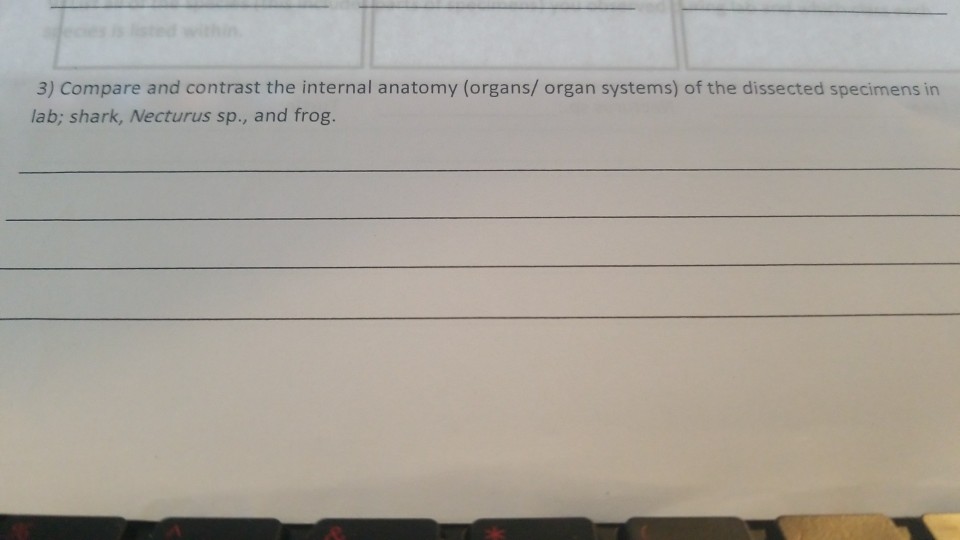 Solved 3) Compare and contrast the internal anatomy (organs/ | Chegg.com