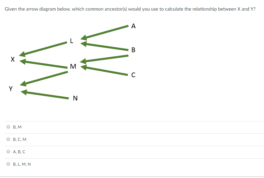 Solved Given the arrow diagram below, which common | Chegg.com