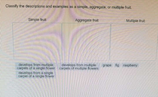 Solved Classify the descriptions and examples as a simple, | Chegg.com
