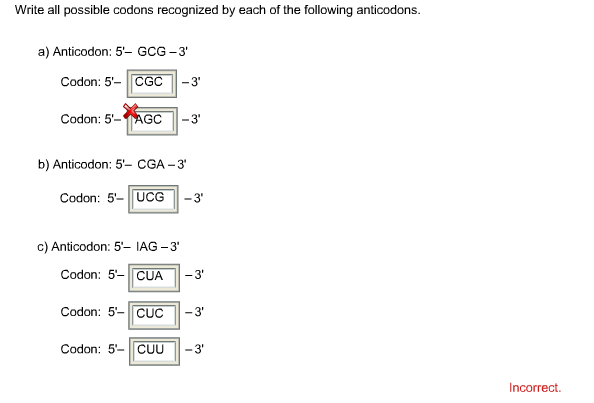 Solved Write all possible codons recognized by each of the | Chegg.com