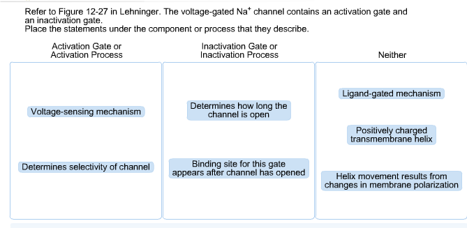 The voltage-gated Na^* channel contains an activation | Chegg.com