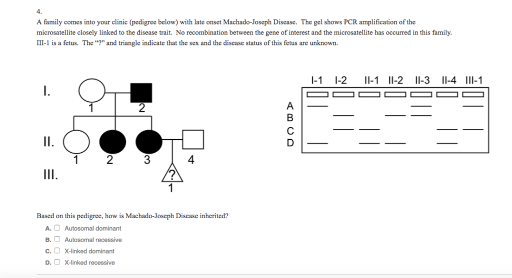 Solved A single base deletion mutation of "A" nucleotide has | Chegg.com