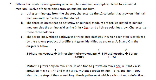 Solved Fifteen bacterial colonies growing on a complete | Chegg.com
