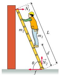 Solved A Person Standing on a Leaning Ladder A uniform | Chegg.com