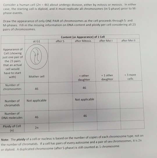 Solved Consider a human cell (2n 46) about undergo division, | Chegg.com