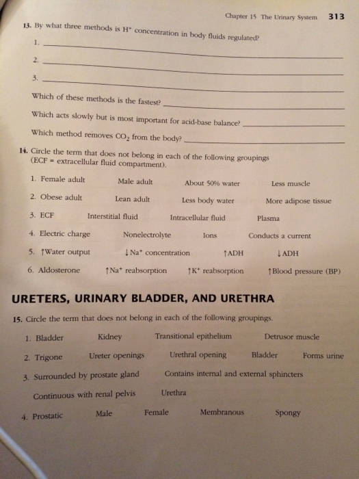 Solved Chapter 15 The Urinary system 313 13. By what three | Chegg.com