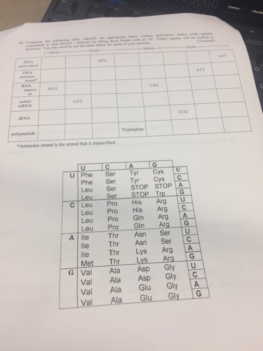 Solved Complete the following table. Identify the | Chegg.com