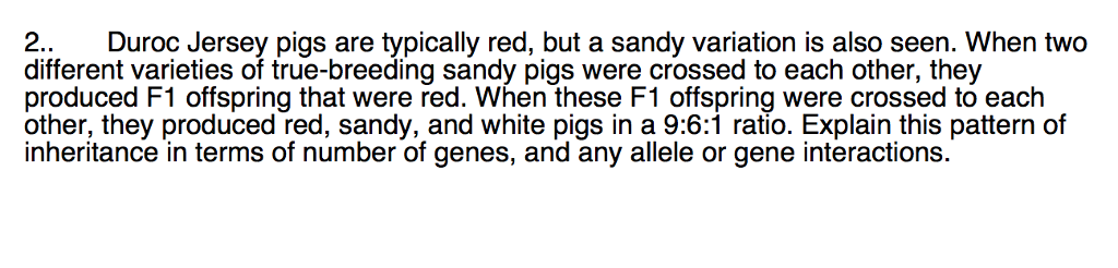 Solved Duroc Jersey pigs are typically red, but a sandy | Chegg.com