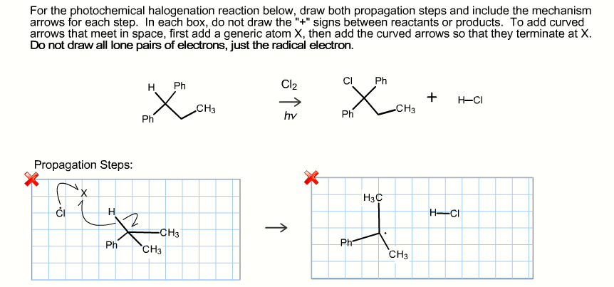 Solved For the photochemical halogenation reaction below, | Chegg.com