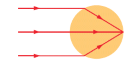 Solved In the figure, a beam of parallel light rays from a | Chegg.com