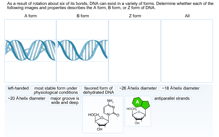 As a result of rotation about six of its bonds, DNA | Chegg.com