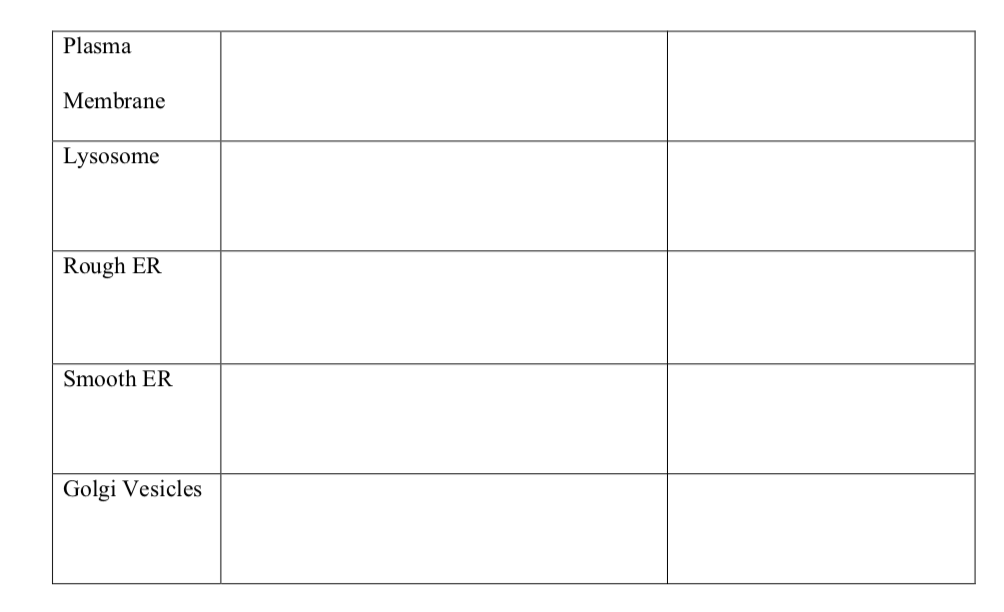 Solved Procedure: Students will get into groups and use the | Chegg.com