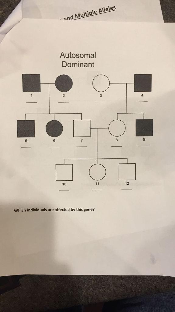Solved and Multiple Alleles 6 Autosomal Dominant 2 5 6 7 9 | Chegg.com