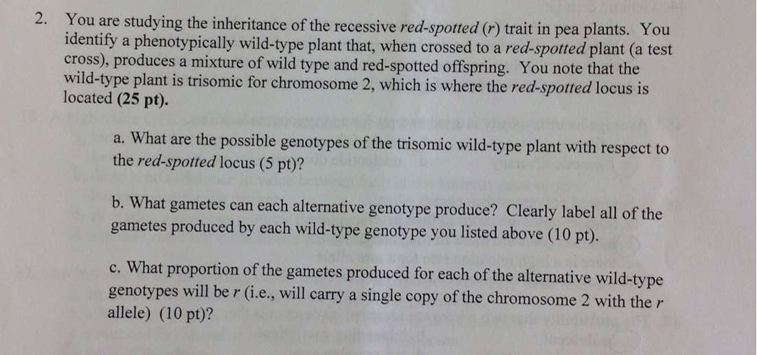 Solved You are studying the inheritance of the recessive | Chegg.com