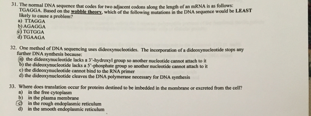 Solved 31. The normal DNA sequence that codes for two | Chegg.com