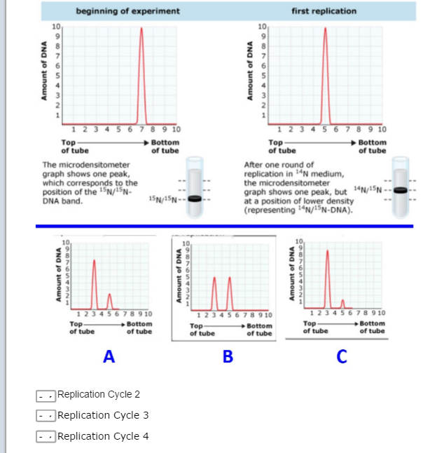 Biology Archive | July 24, 2016 | Chegg.com