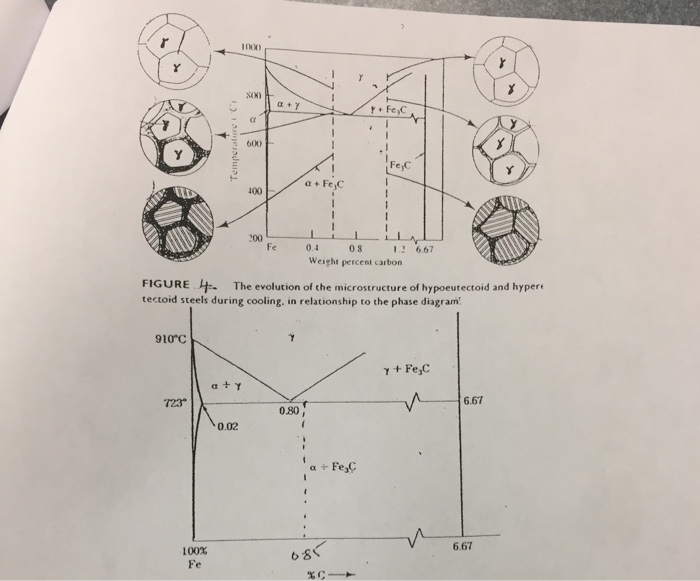 Solved 4. Identify the following phases in each of the six | Chegg.com