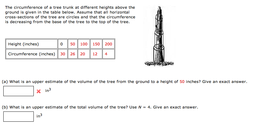 Solved The circumference of a tree trunk at different | Chegg.com