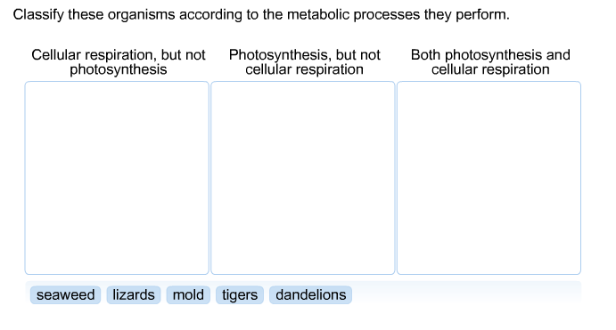 Solved Classify these organisms according to the metabolic | Chegg.com