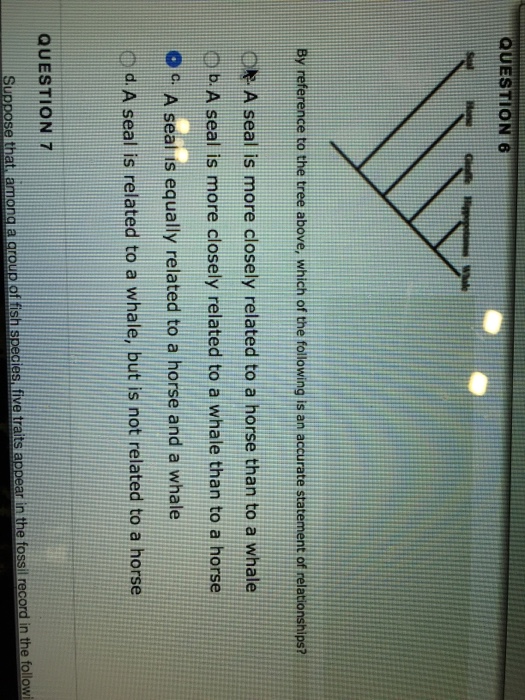 Solved By reference to the tree above, which of the | Chegg.com