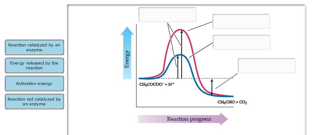 Solved: Activation Energy Is The Energy That A Reaction Mu... | Chegg.com