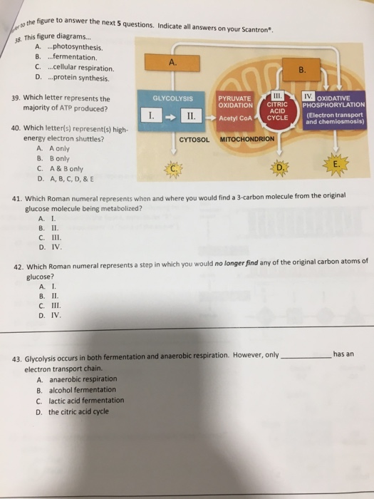 Solved Refer to the figures to answer the following 2 | Chegg.com