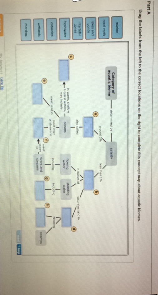 Solved g each label into the correct bin to identify whether | Chegg.com