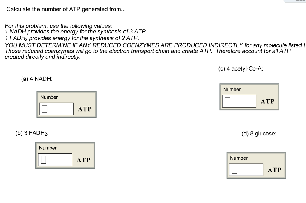 Solved Calculate the number of ATP generated from... For | Chegg.com