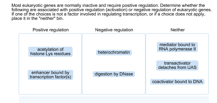 Solved Most eukaryotic genes are normally inactive and | Chegg.com