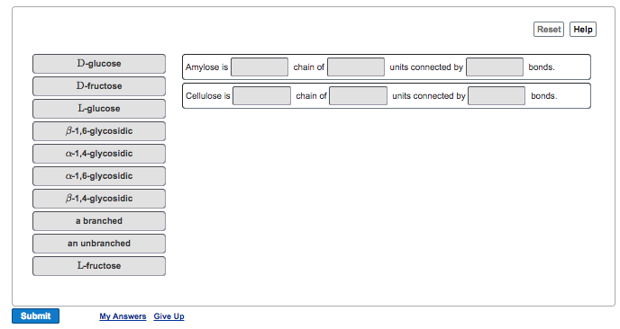 Solved Describe the similarities and differences in the | Chegg.com